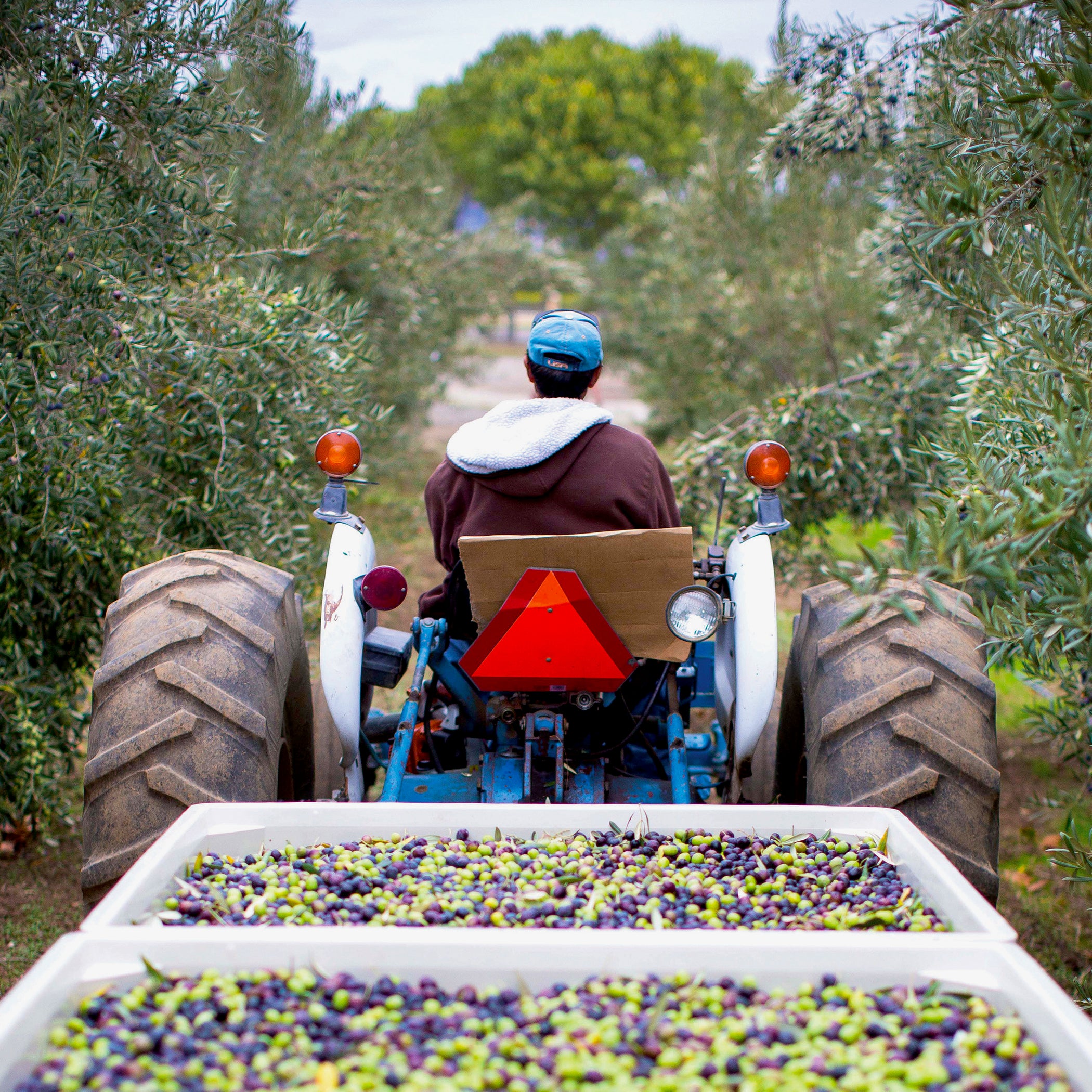 Our Story | KATZ Farm